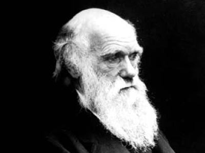 Darwin - Britannica